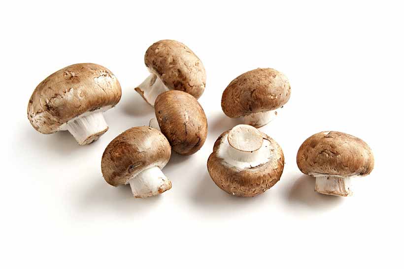 18 tipos comunes de hongos comestibles